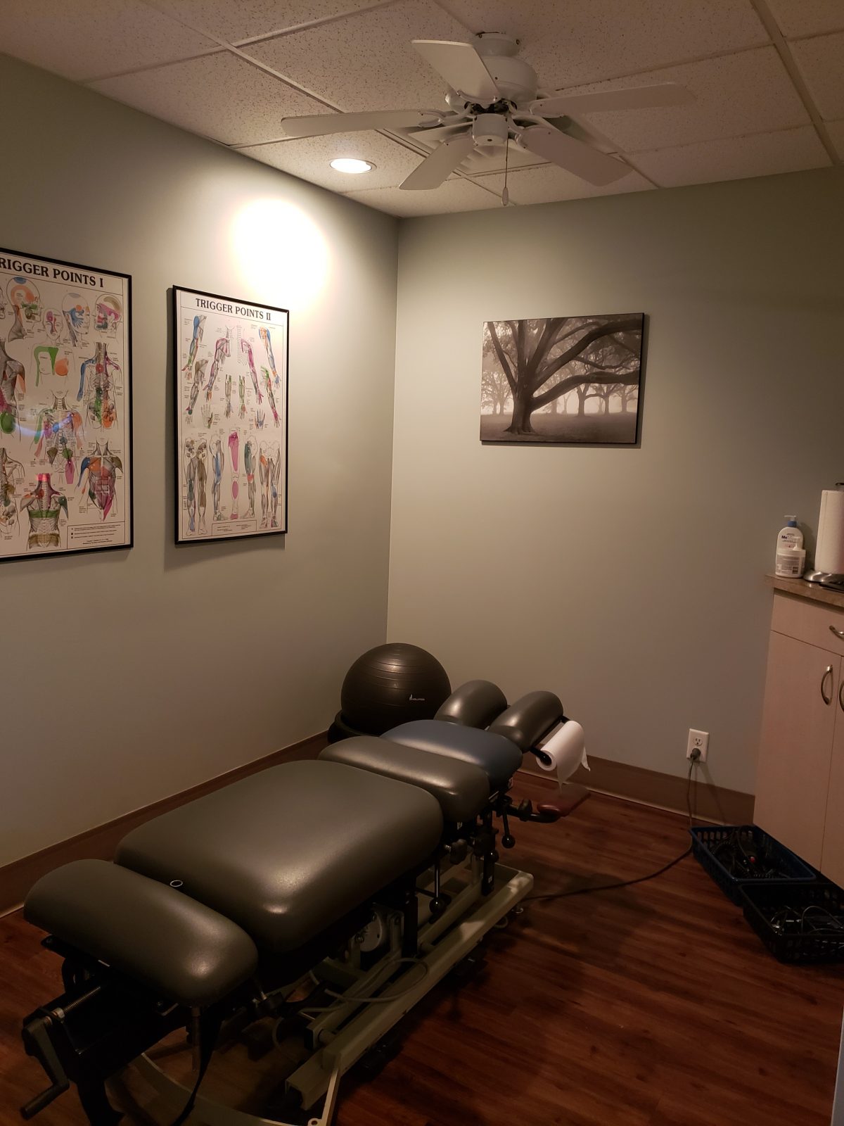 Care Chiropractic – Health & Rehab – Chiropractors